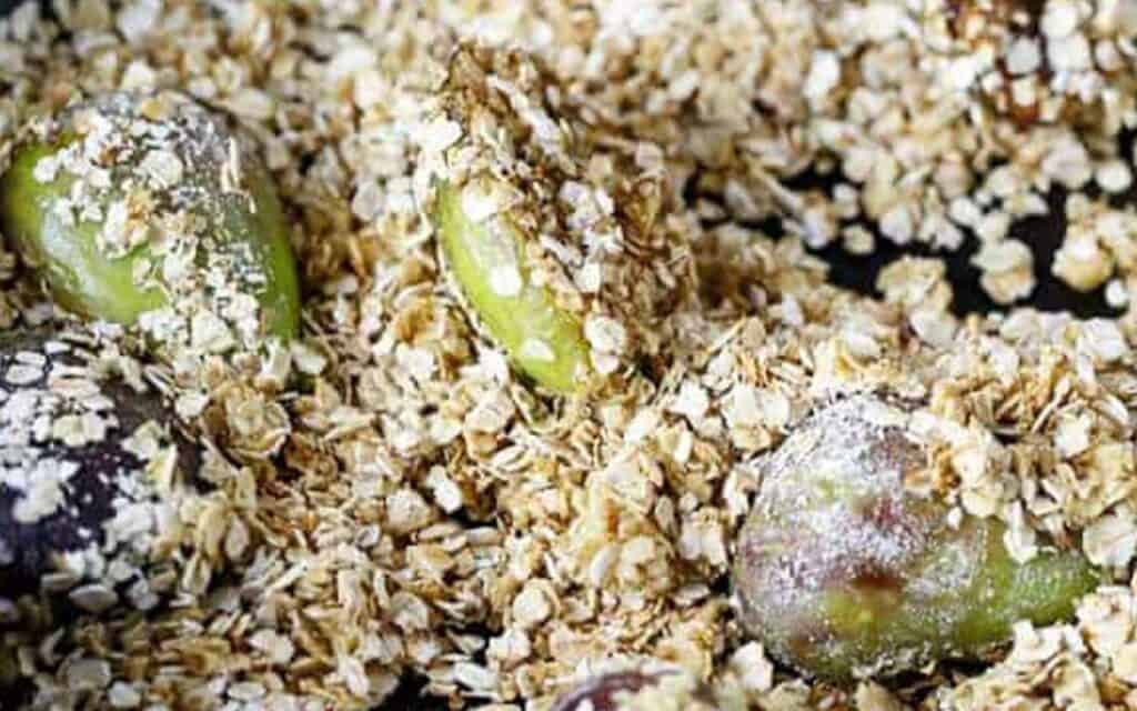 Caramelized Fig Toasted Oatmeal