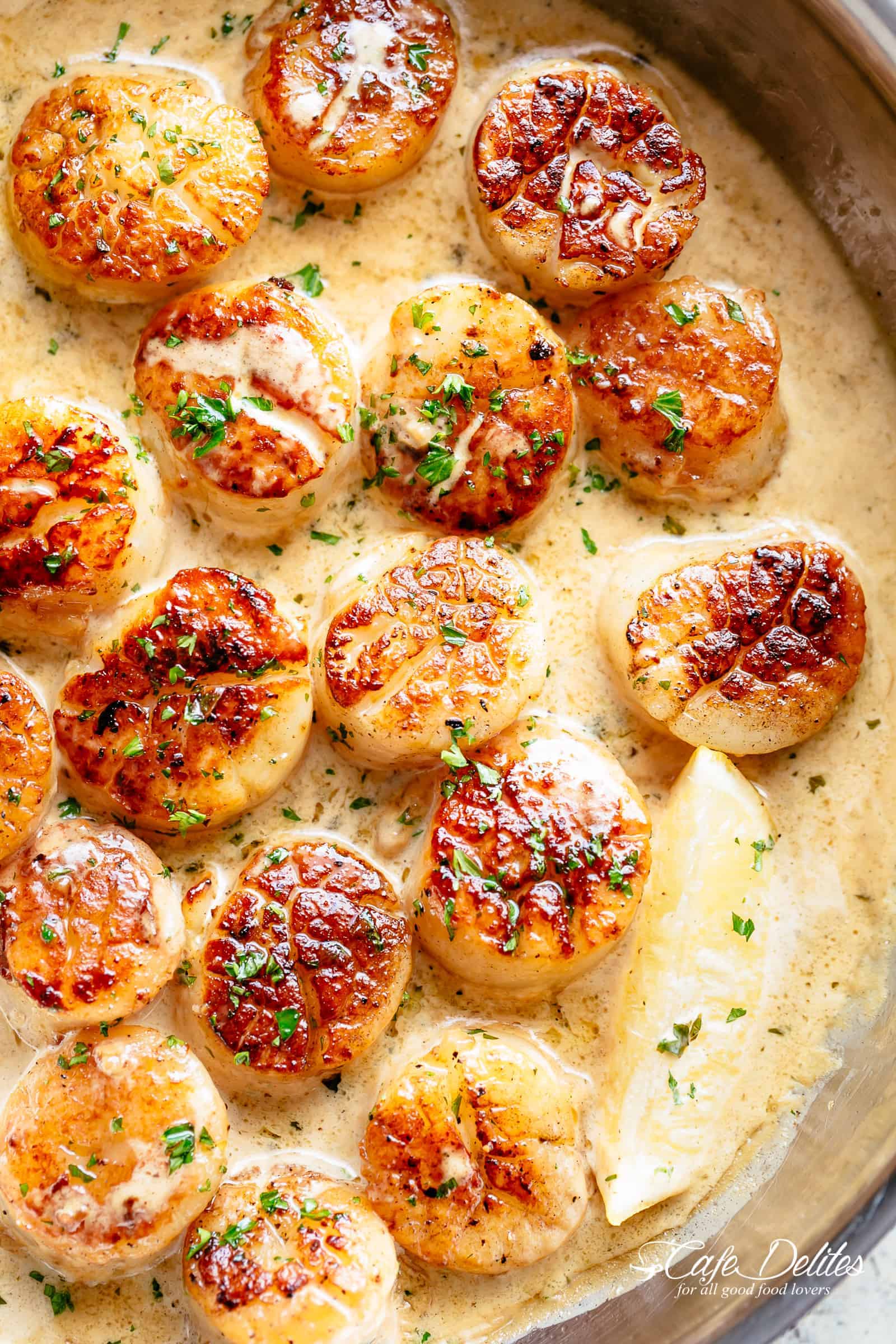 Creamy Garlic Scallops Cafe Delites