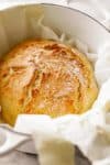 Easiest No-Knead Crusty Artisan Bread - Cafe Delites